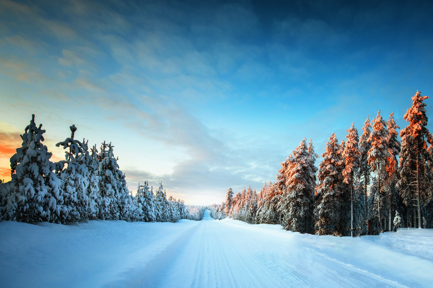 Endless Winter Foto & Bild | landschaft, jahreszeiten, winter Bilder ...