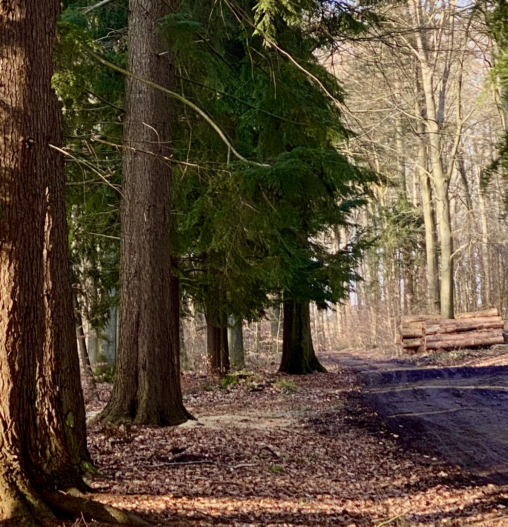 endlich allein... Foto & Bild | landschaft, lebensräume, natur Bilder ...