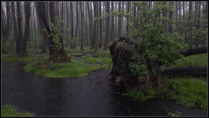 Regenfotos Bilder & Fotos