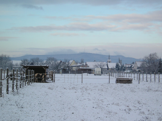 Endlich Schnee Foto & Bild | jahreszeiten, winter, natur Bilder auf fotocommunity