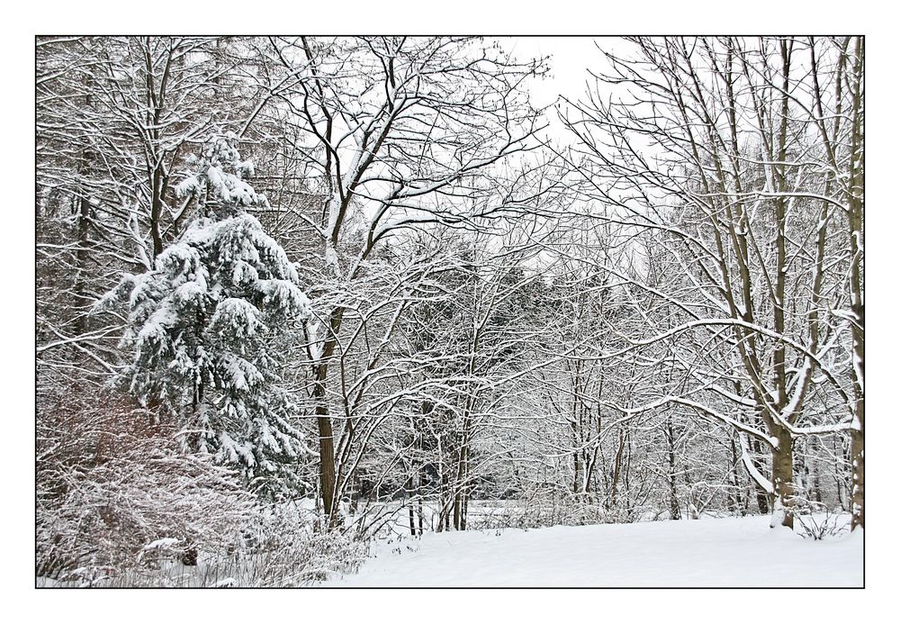 Endlich Winter... Foto & Bild | jahreszeiten, winter, natur Bilder auf ...
