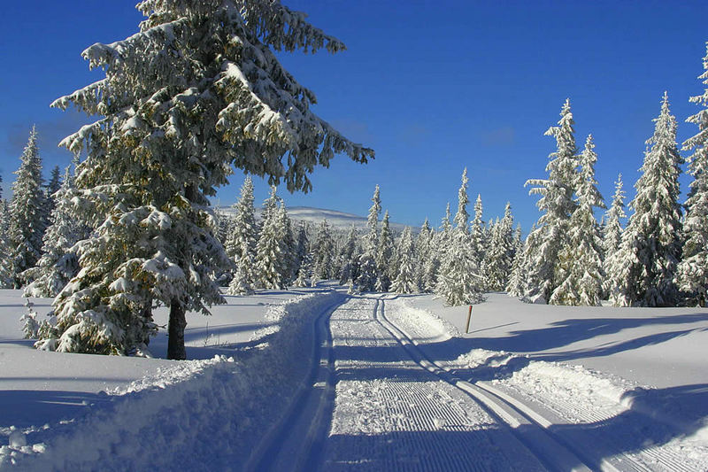 Endlich Winter Foto & Bild | europe, scandinavia, norway Bilder auf ...