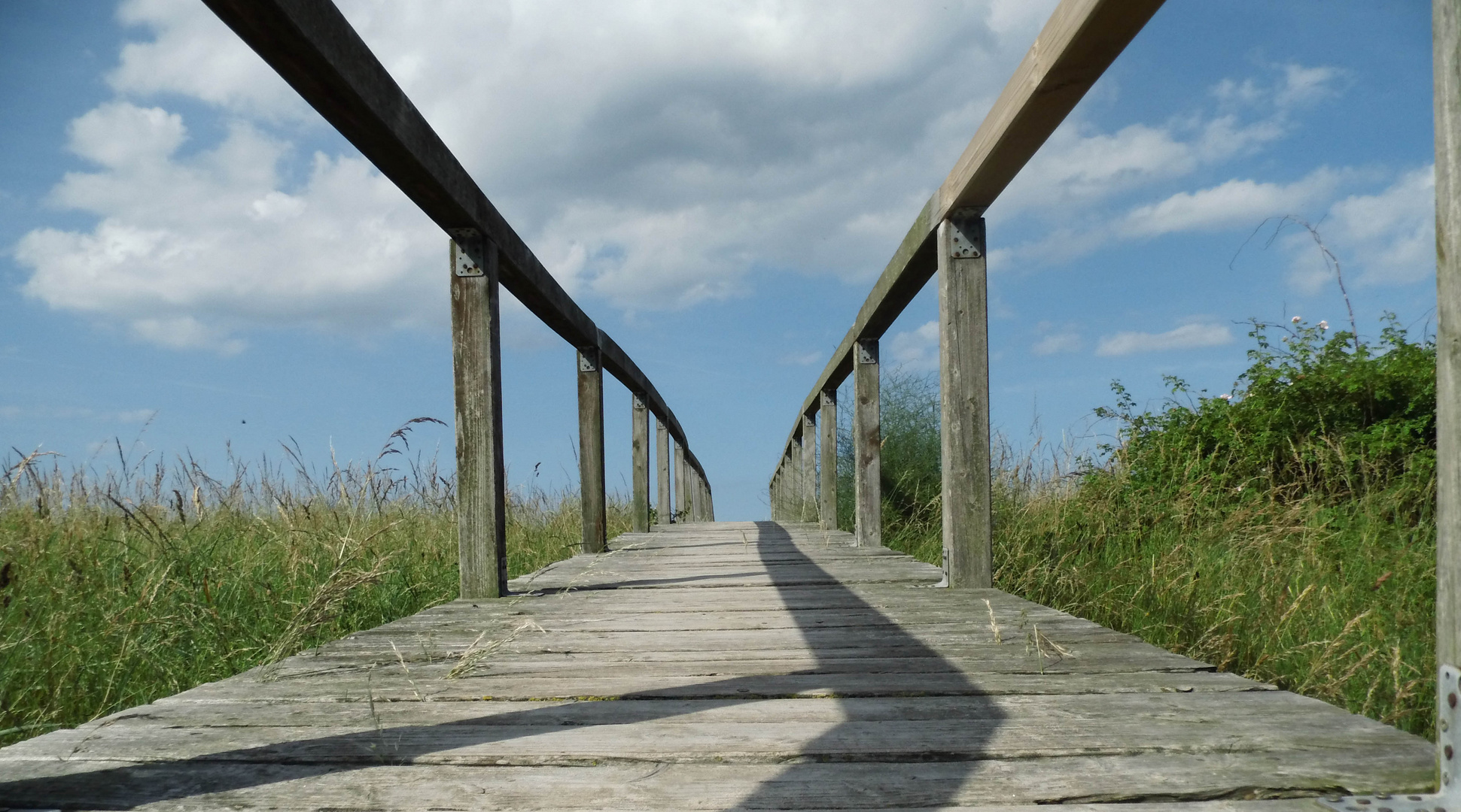 Endlos Foto & Bild | landschaft, meer & strand, dünen Bilder auf ...
