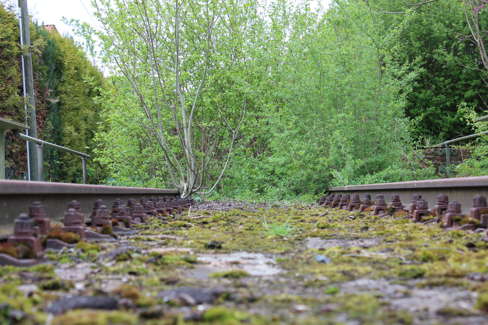 Endstation Foto & Bild | eisenbahn, verkehr & fahrzeuge, schiene und ...