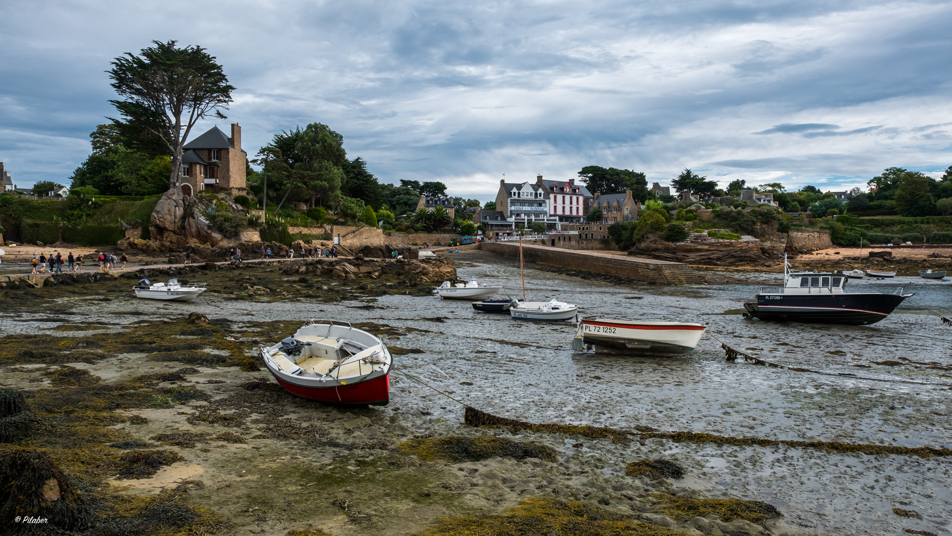Enez Vriad Foto & Bild | nature, world, lumière à marée basse Bilder ...