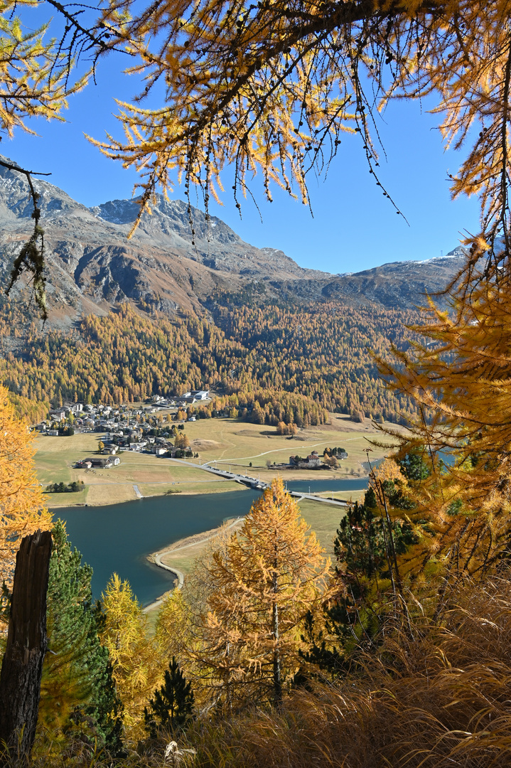Engadiner Durchblick Foto & Bild | herbst, schweiz, landschaft Bilder ...