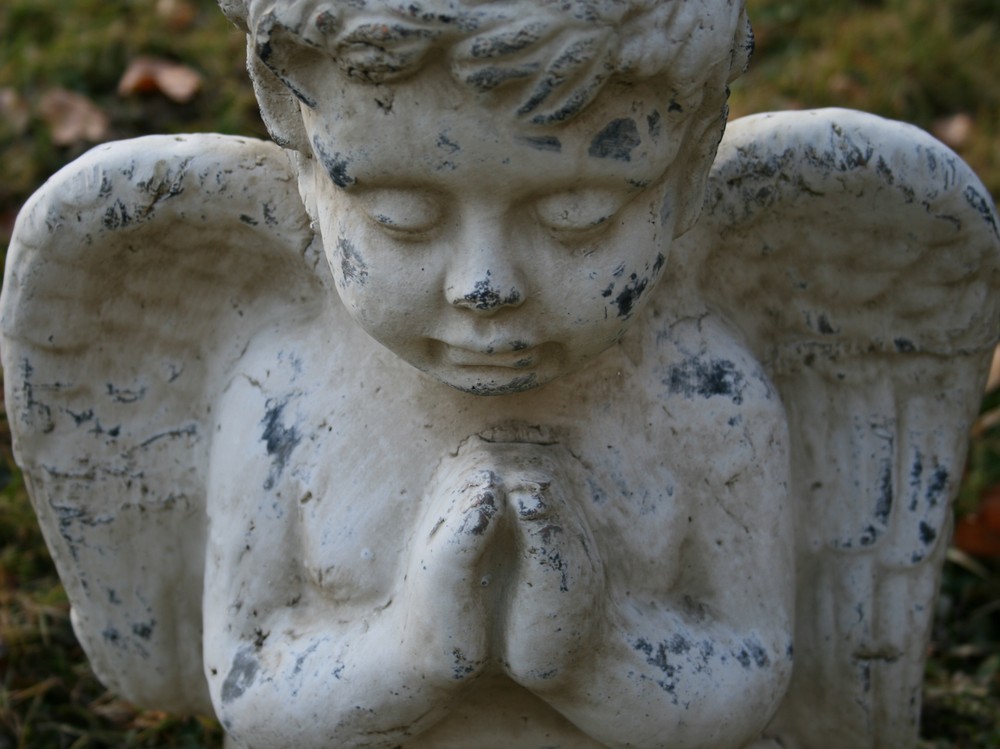 Engel Foto & Bild | stillleben, zufällige arrangements, motive Bilder ...