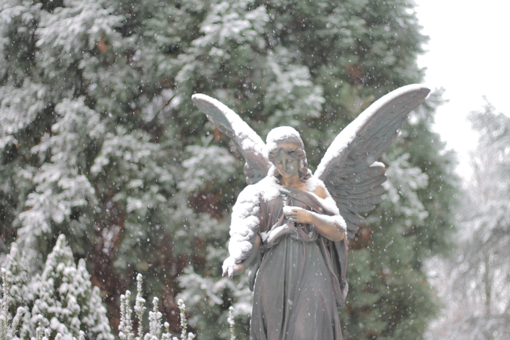 Engel im Schnee Foto & Bild | bildbearbeitung nachgefragt, lernen am ...