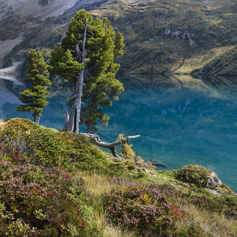 ENGSTLENSEE Foto & Bild | landschaft, bach, fluss & see, see, teich ...