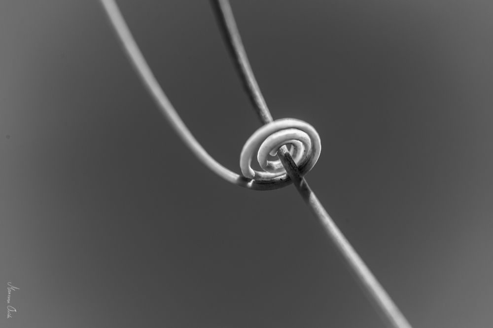 Enroscado... Beso... Imagen & Foto | naturaleza, byn, motivos Fotos de ...