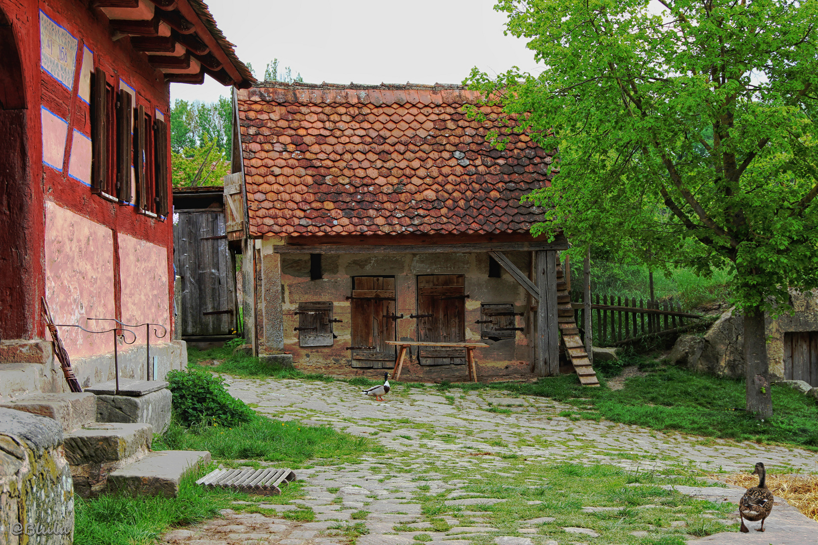 Entenstall Foto & Bild | world, bayern, deutschland Bilder auf ...