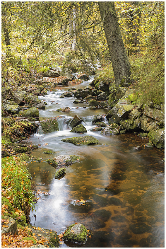 Entlang der Bode/Harz Foto & Bild | landschaft, bach, fluss & see, bachläufe Bilder auf ...
