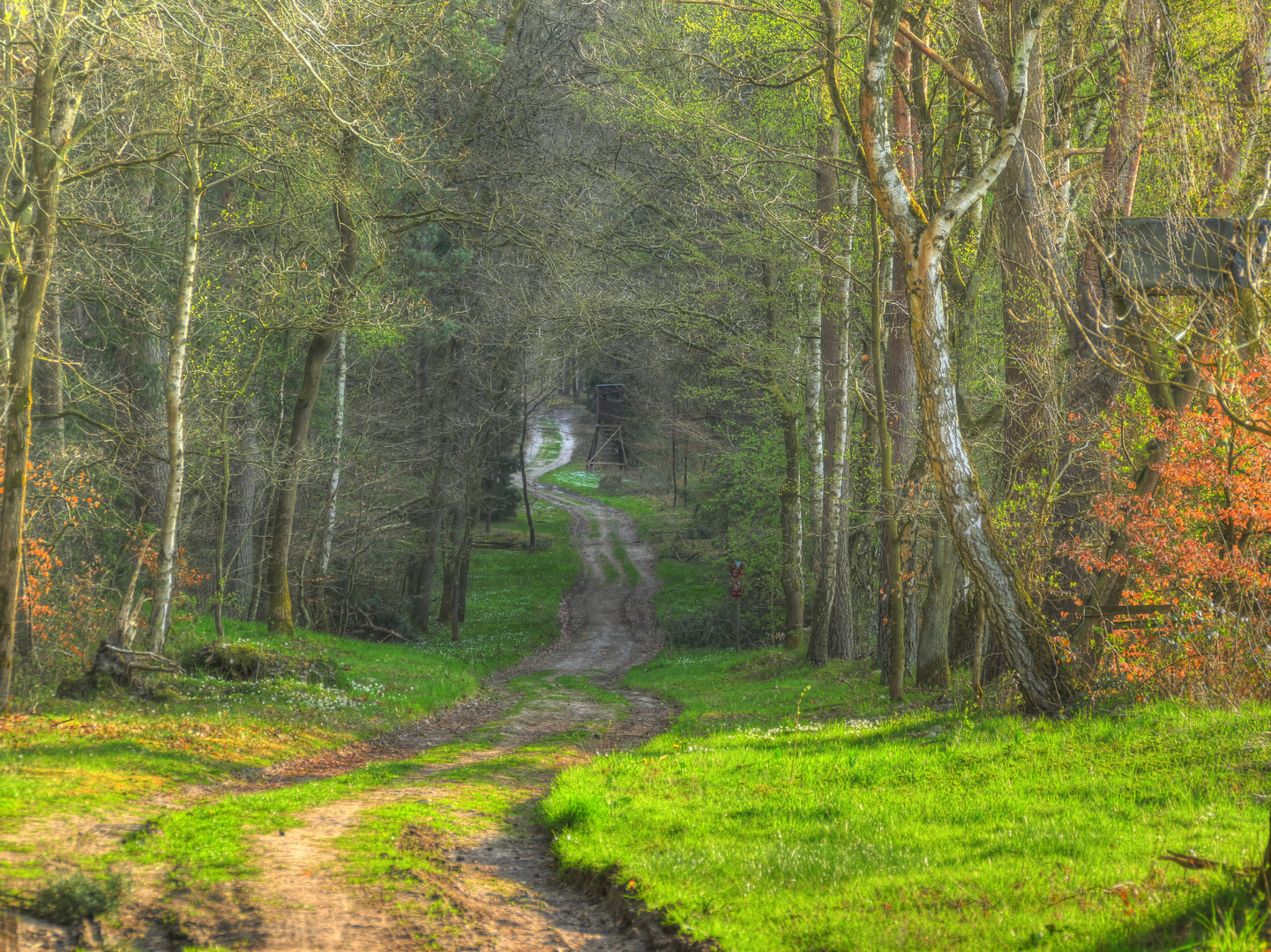 Entrée dans la forêt des fées.... Foto & Bild | landschaft, alleen ...