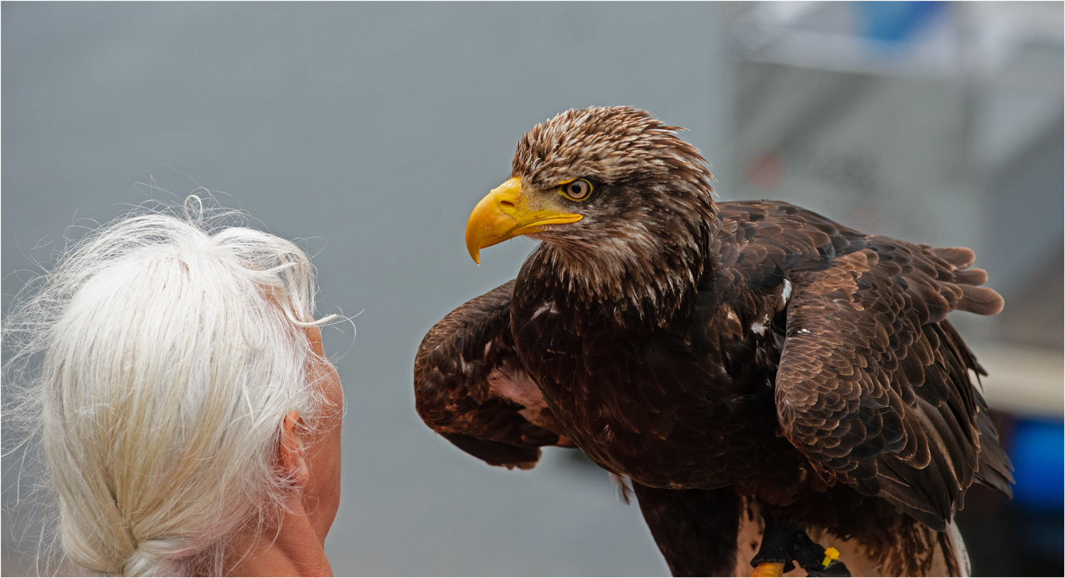 Entsetzt Foto & Bild | natur, menschen, tiere Bilder auf fotocommunity