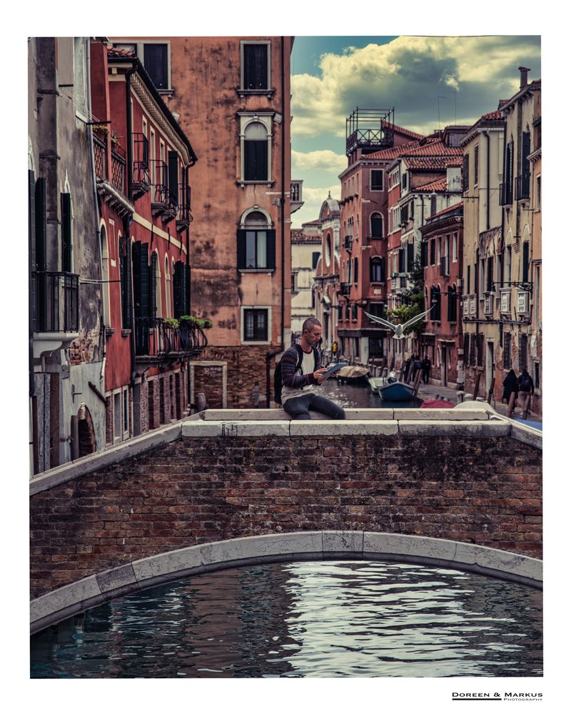 Entspannung in Venedig ( Möve im Anflug ) Foto & Bild | streetfotografie mit menschen, street ...