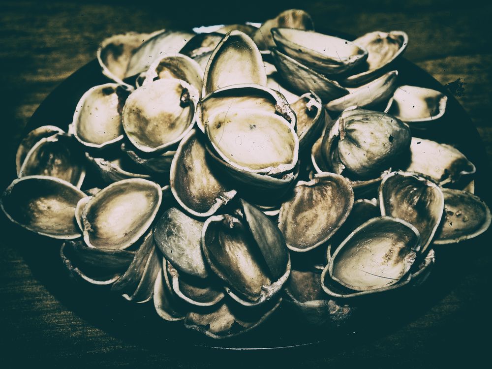 ephemer ll Foto & Bild | natur-makros, jahreszeiten, herbst Bilder auf ...