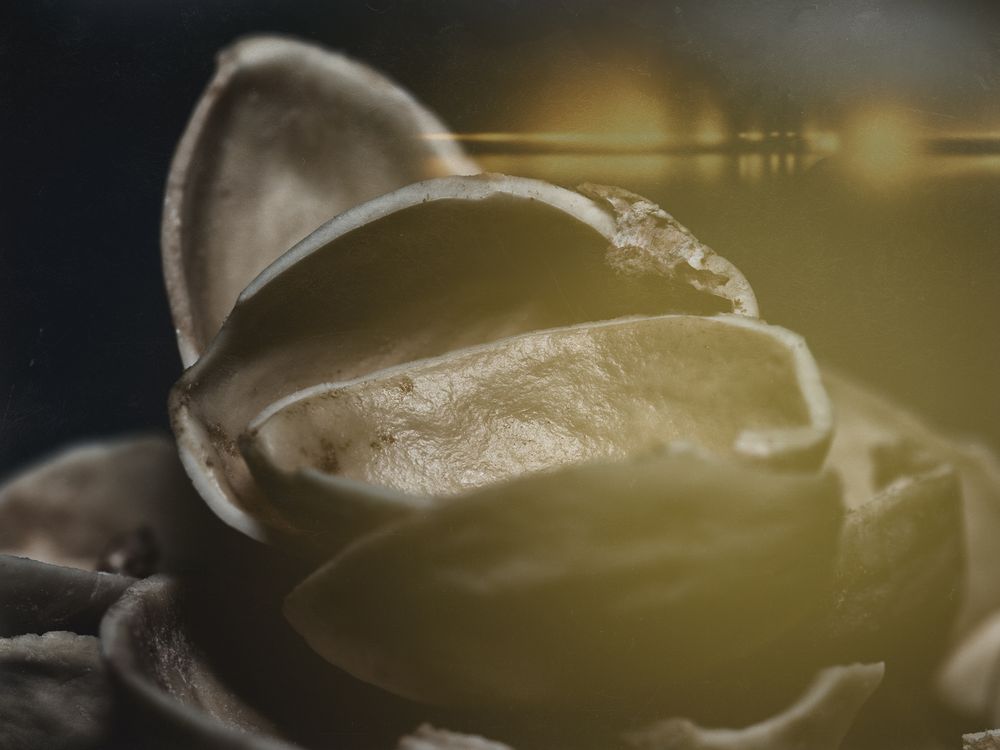 ephemer lll Foto & Bild | stillleben, jahreszeiten, herbst Bilder auf ...