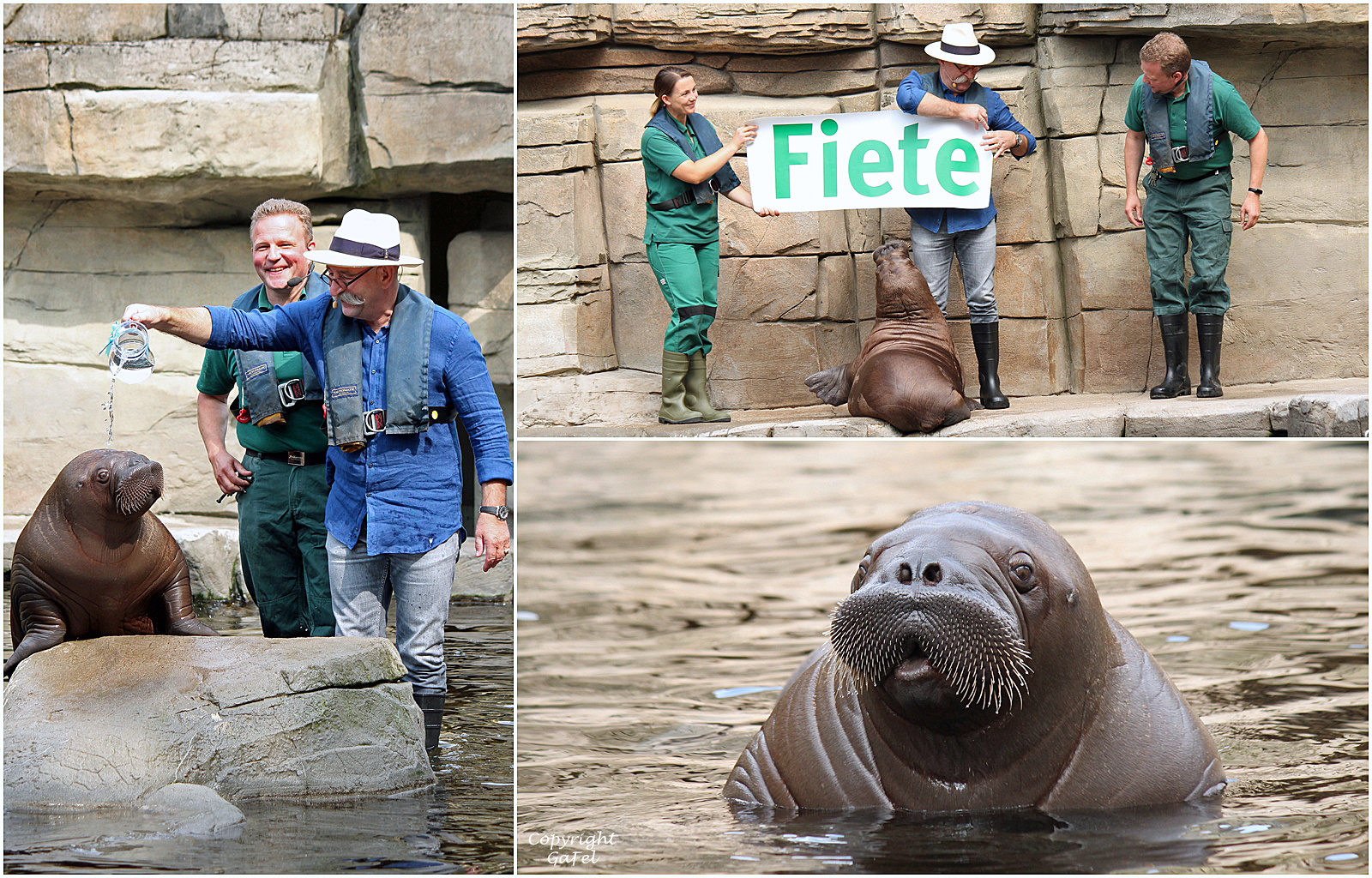 Er heißt FIETE Foto & Bild | tiere, zoo, wildpark & falknerei ...