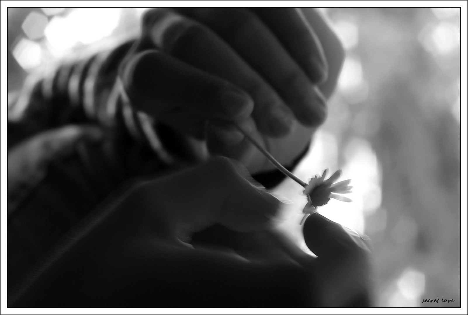 er liebt mich.., er liebt mich nicht.., .., Foto & Bild | art, spezial, monochrome Bilder auf ...