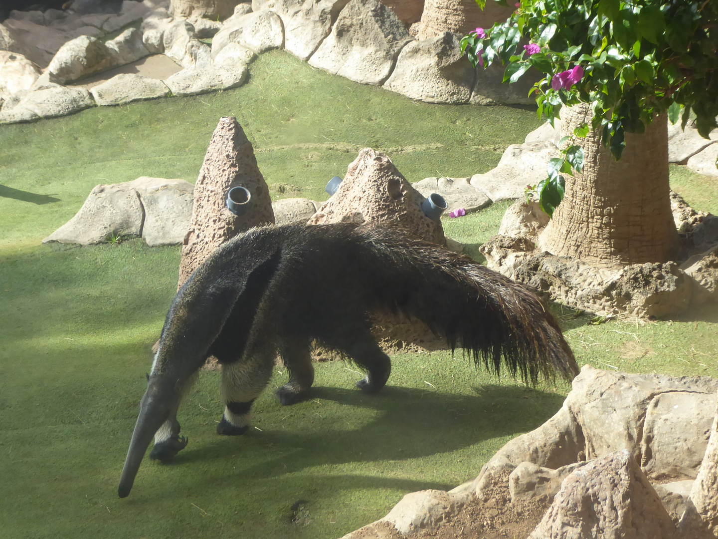 Er sieht etwas merkwürdig aus.... Foto & Bild | spezial, dokumentation ...