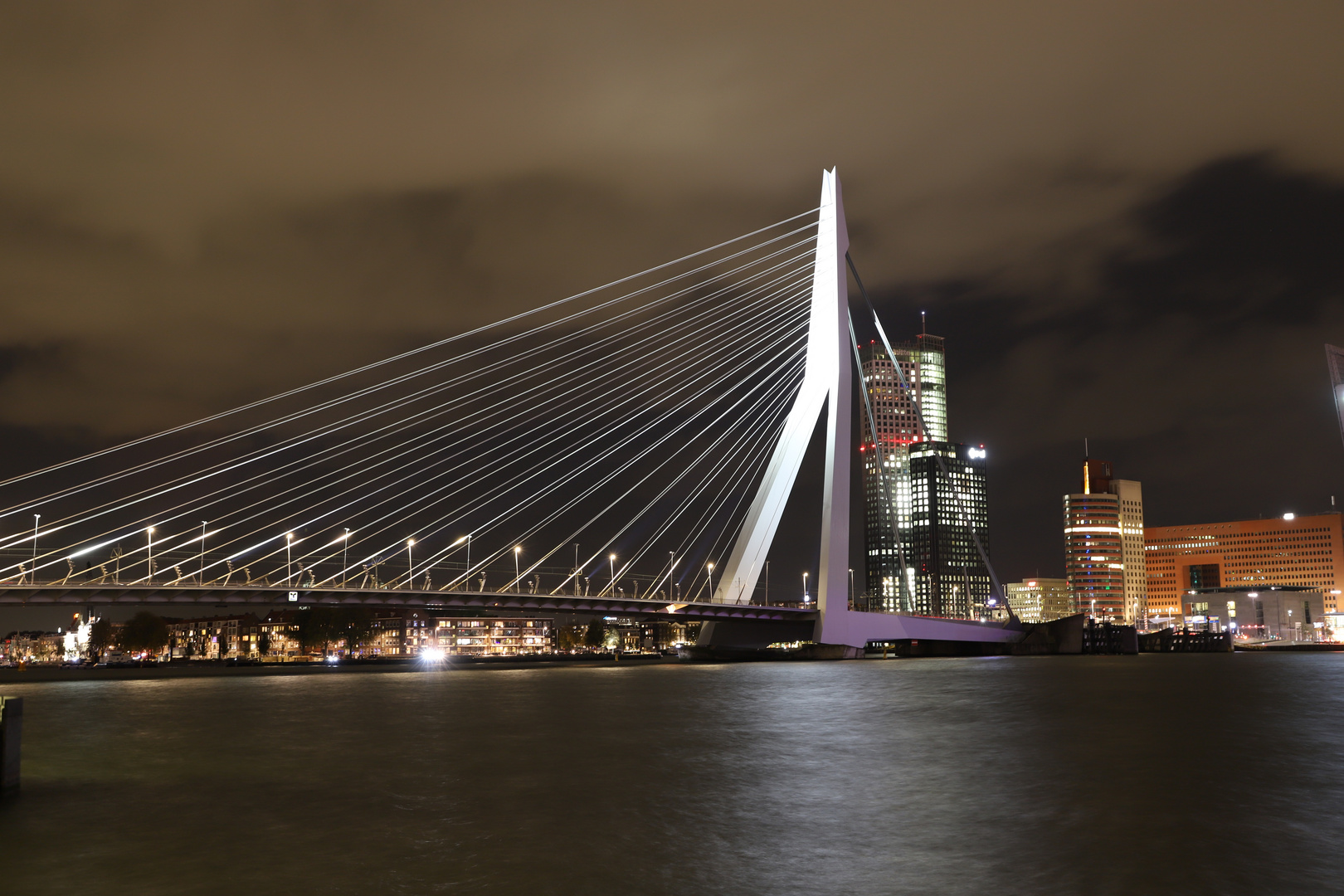 Erasmusbrücke in Rotterdam Foto & Bild | architektur, fotos, spezial ...