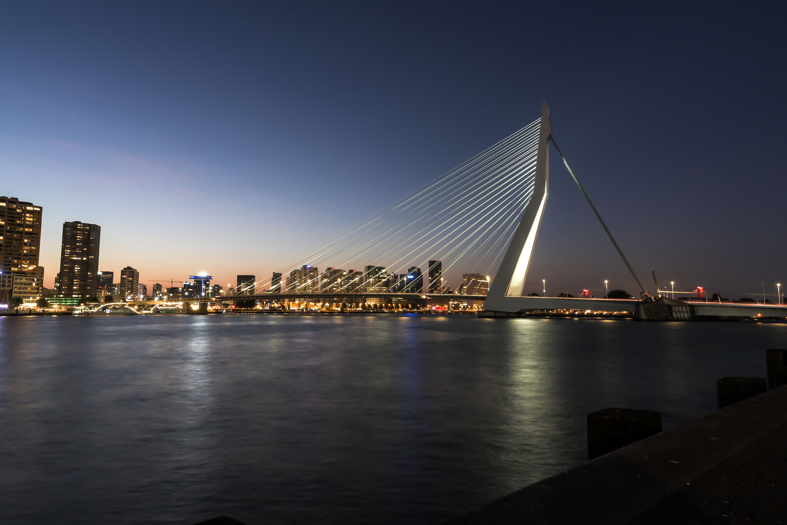 Erasmusbrücke Rotterdam Foto & Bild | architektur, architektur bei ...