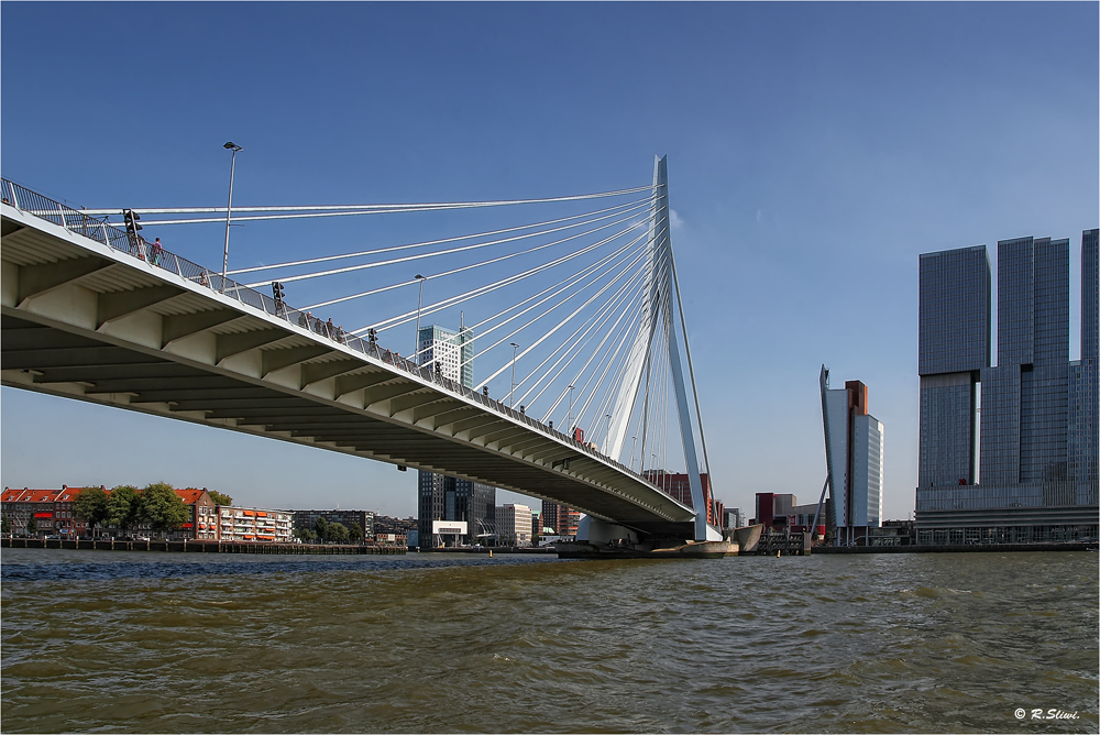 Erasmusbrücke Rotterdam Foto & Bild | architektur, brücken, motive ...