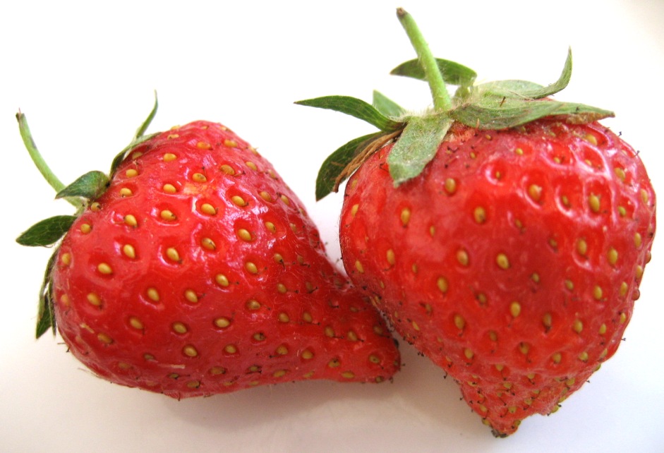 Erdbeere Foto & Bild | stillleben, motive Bilder auf fotocommunity