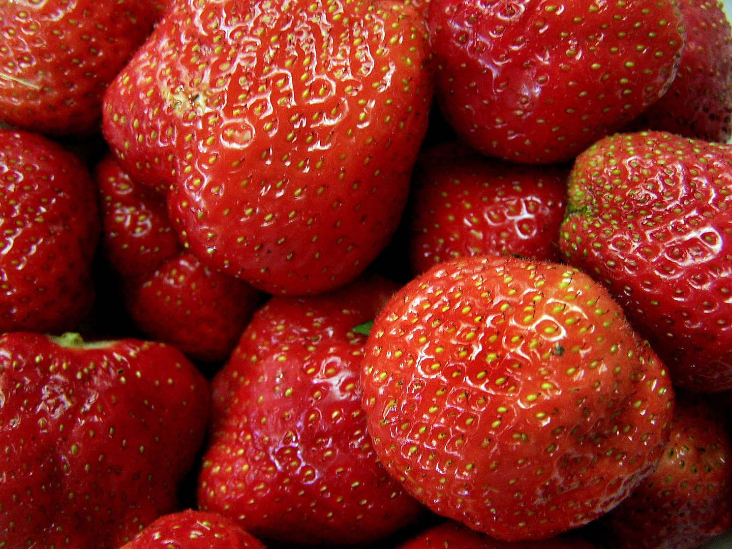 erdbeeren Foto & Bild | natur Bilder auf fotocommunity