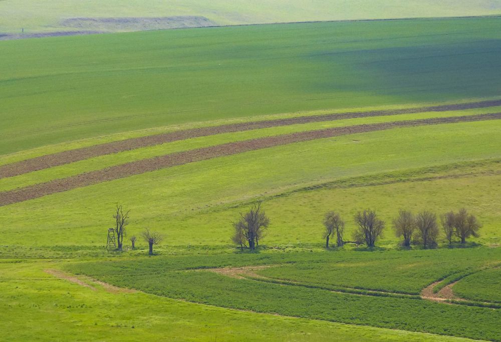Erdboden mit Erdbogen Foto & Bild | landschaft, Äcker, felder & wiesen ...