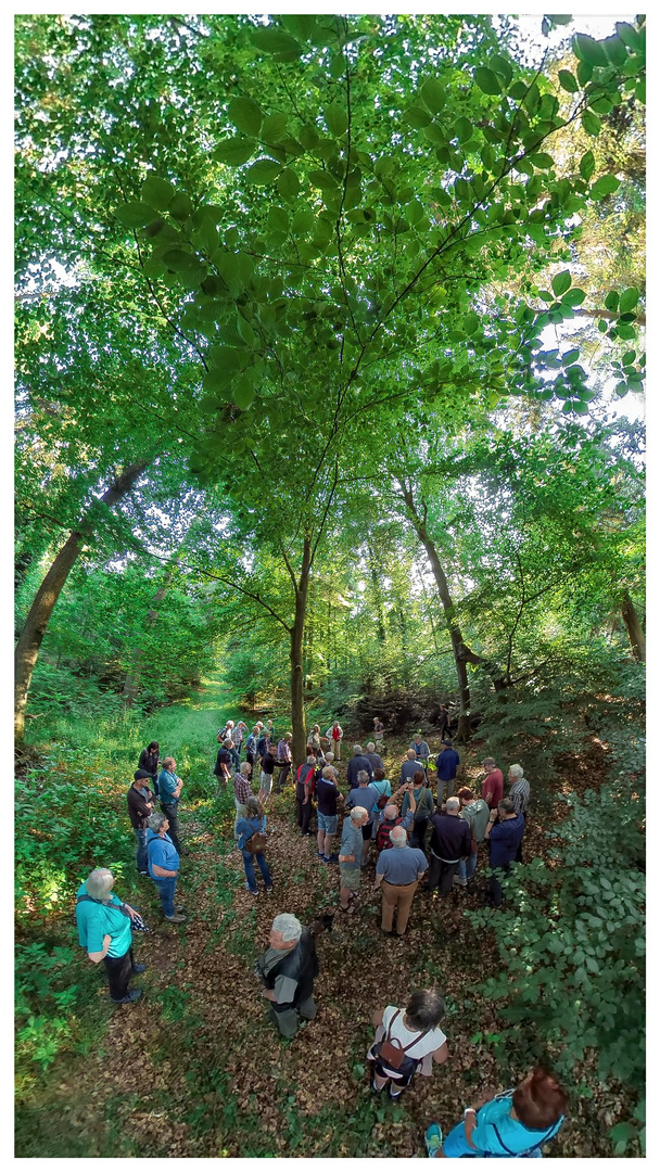 Erdmann's Wälder Foto & Bild | wald, förster, erdmann Bilder auf ...