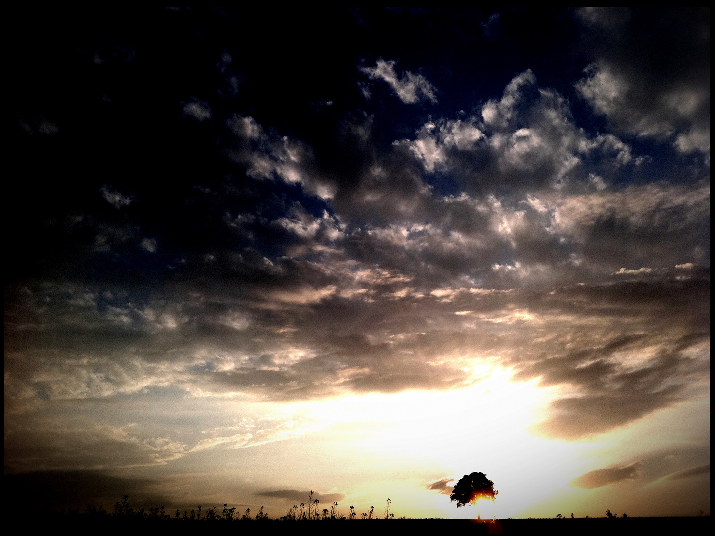 erdrückende Atmosphäre Foto & Bild | landschaft, natur Bilder auf ...