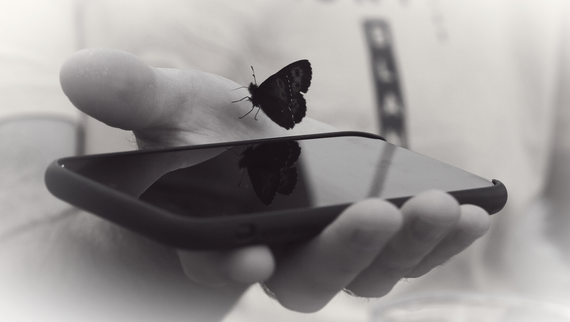 Erebiabesuch Foto & Bild | street, hand, natur Bilder auf fotocommunity