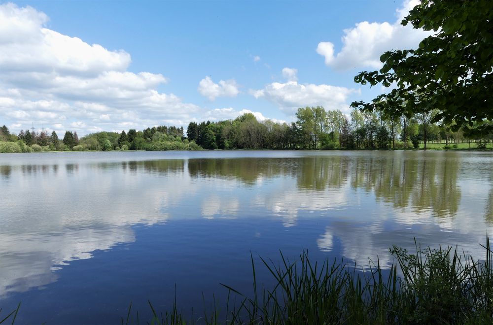 Erholsame Stunde am See... Foto & Bild | landschaft, projekte, bach ...