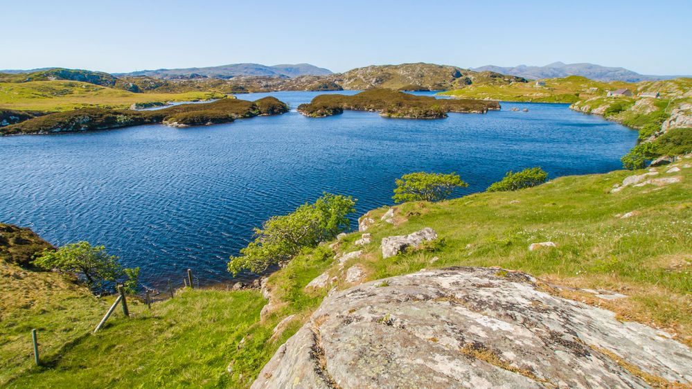 Erholung Foto & Bild | bäume, natur, see Bilder auf fotocommunity