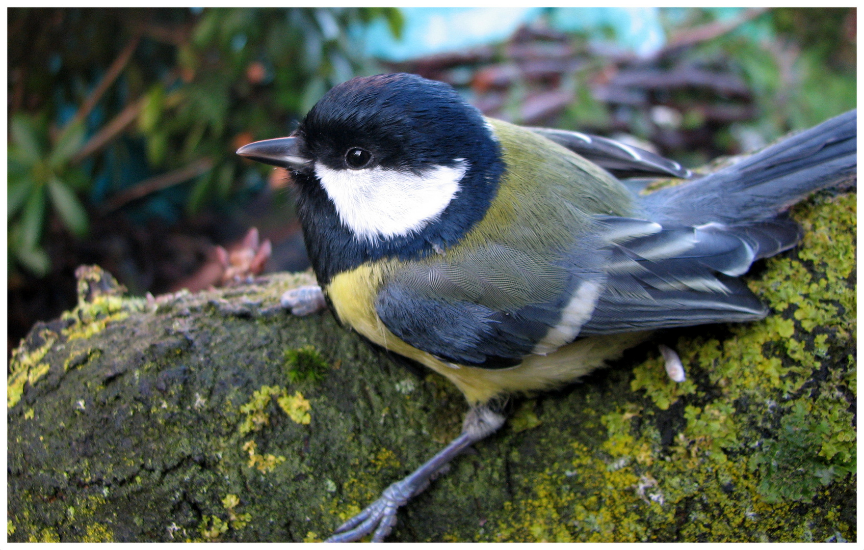Erholung Foto & Bild | 13.11.2017, natur Bilder auf fotocommunity