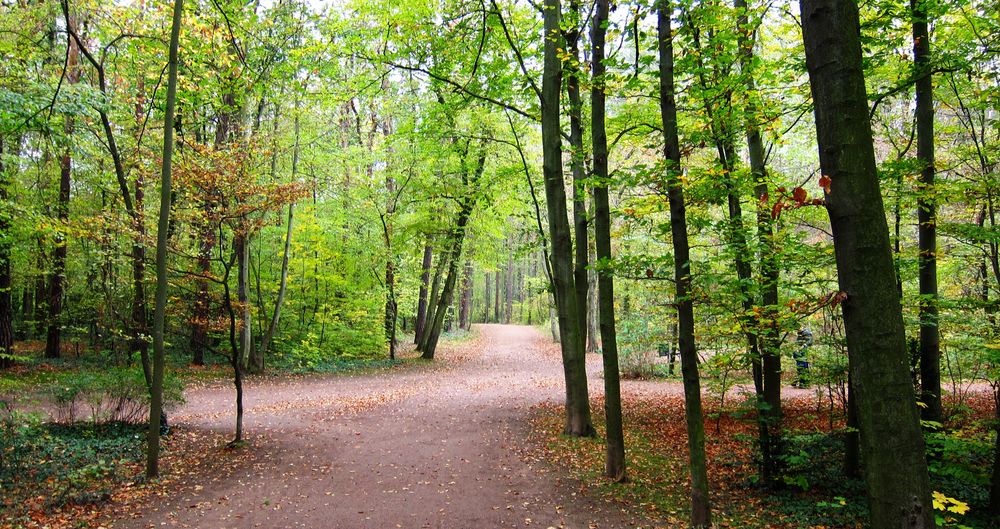 Erholung Foto & Bild | sk, landschaften, natur Bilder auf fotocommunity