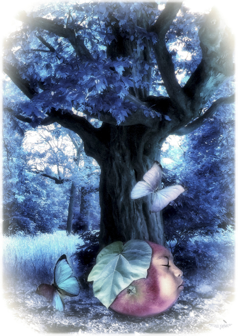 Erholung Foto & Bild | spezial, composing, digiart Bilder auf fotocommunity