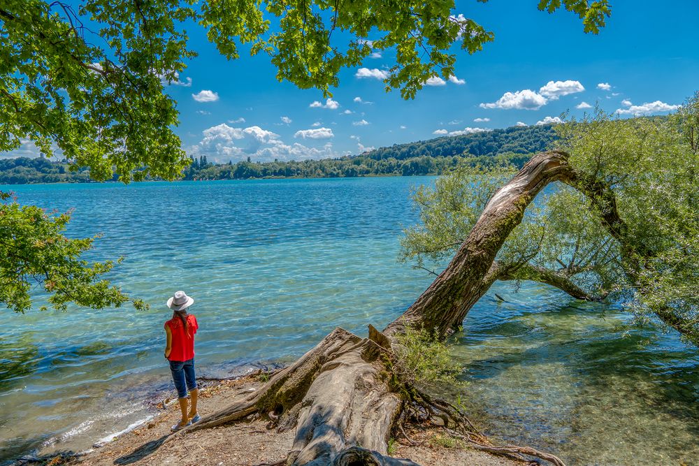 Erholung am See , Juli 2020 Foto & Bild | world, rot, sommer Bilder auf ...