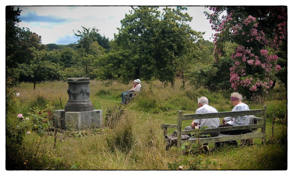 Erholung im Garten von ... Foto & Bild | europe, united kingdom ...