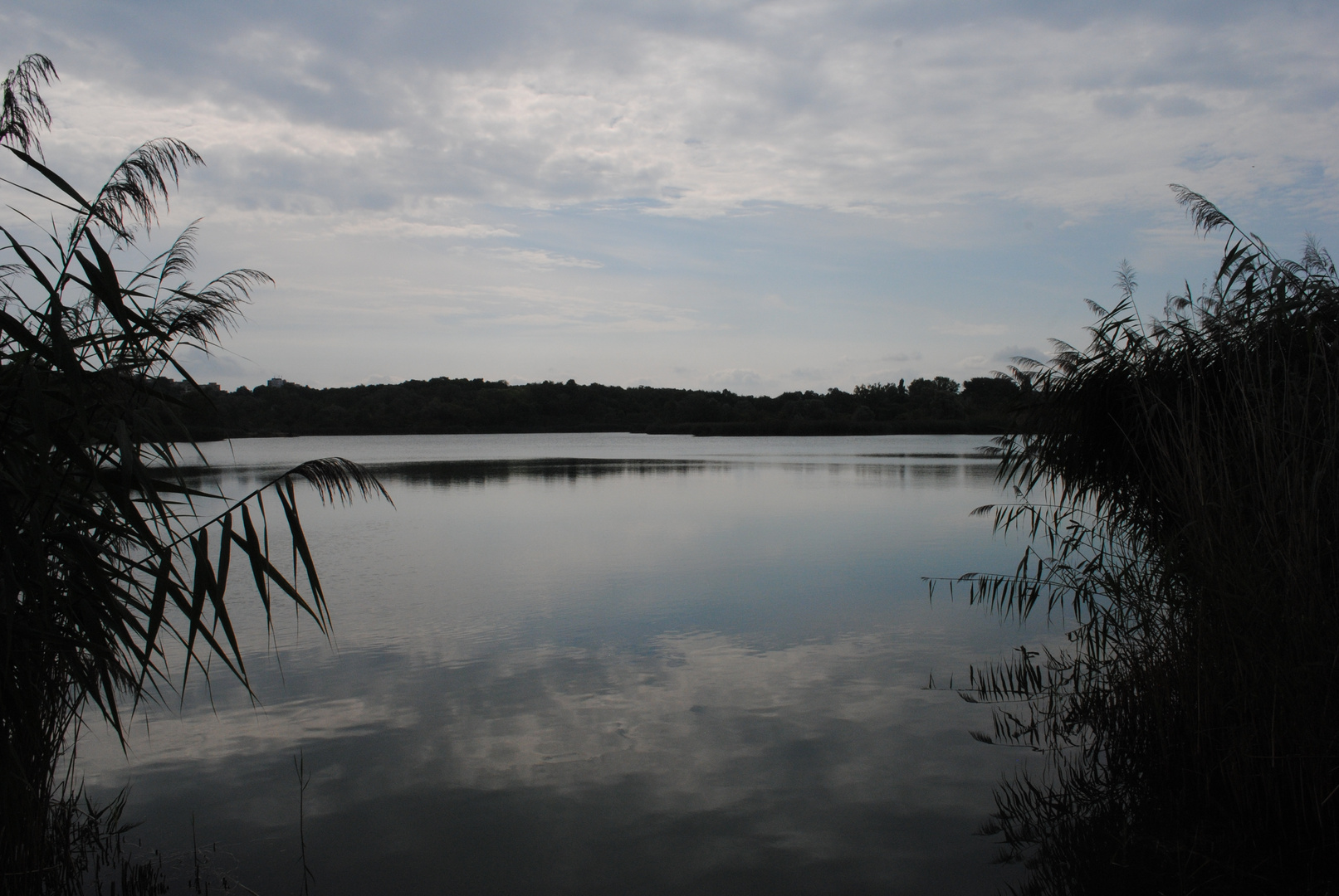 Erholung in Wien Foto & Bild | landschaft, bach, fluss & see, see ...