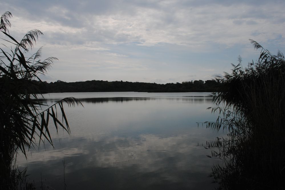 Erholung in Wien Foto & Bild | landschaft, bach, fluss & see, see ...