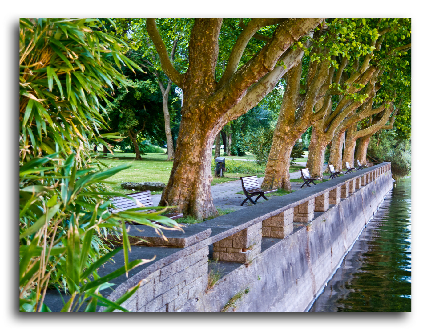 Erholung pur 1 Foto & Bild | deutschland, europe, baden- württemberg ...