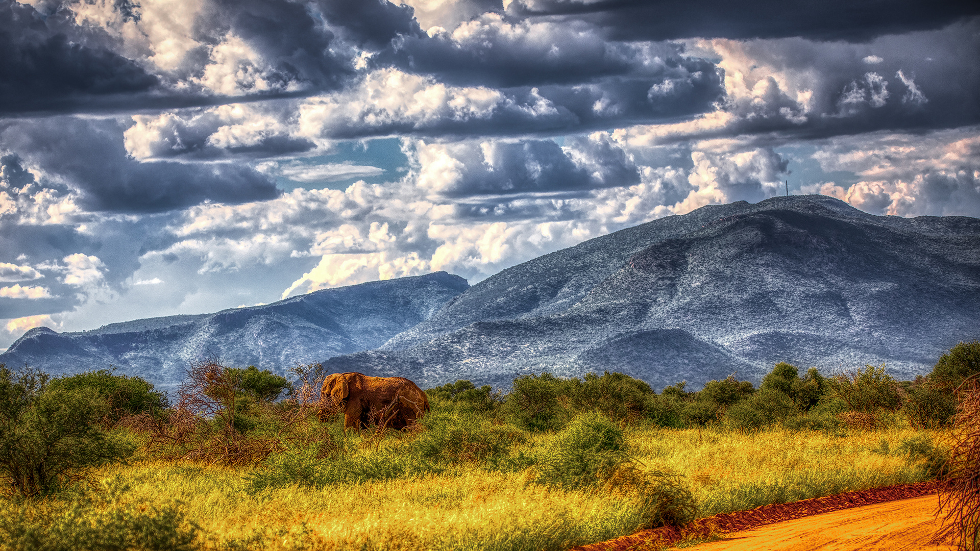 ERINDI PRIVATE GAME RESERVE (7) Foto & Bild | africa, southern africa ...