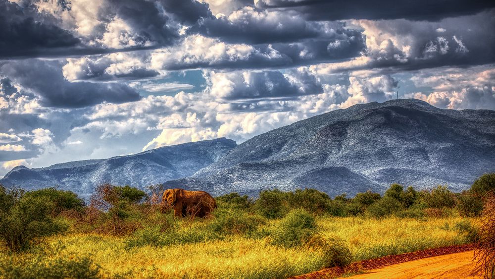 ERINDI PRIVATE GAME RESERVE (7) Foto & Bild | africa, southern africa ...