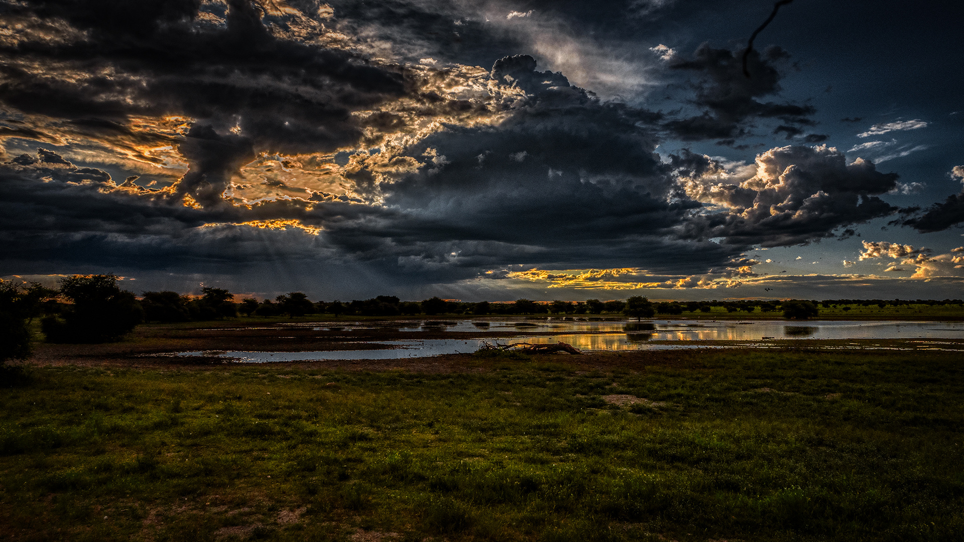 ERINDI PRIVATE GAME RESERVE (83) Foto & Bild | world, tier, namibia ...