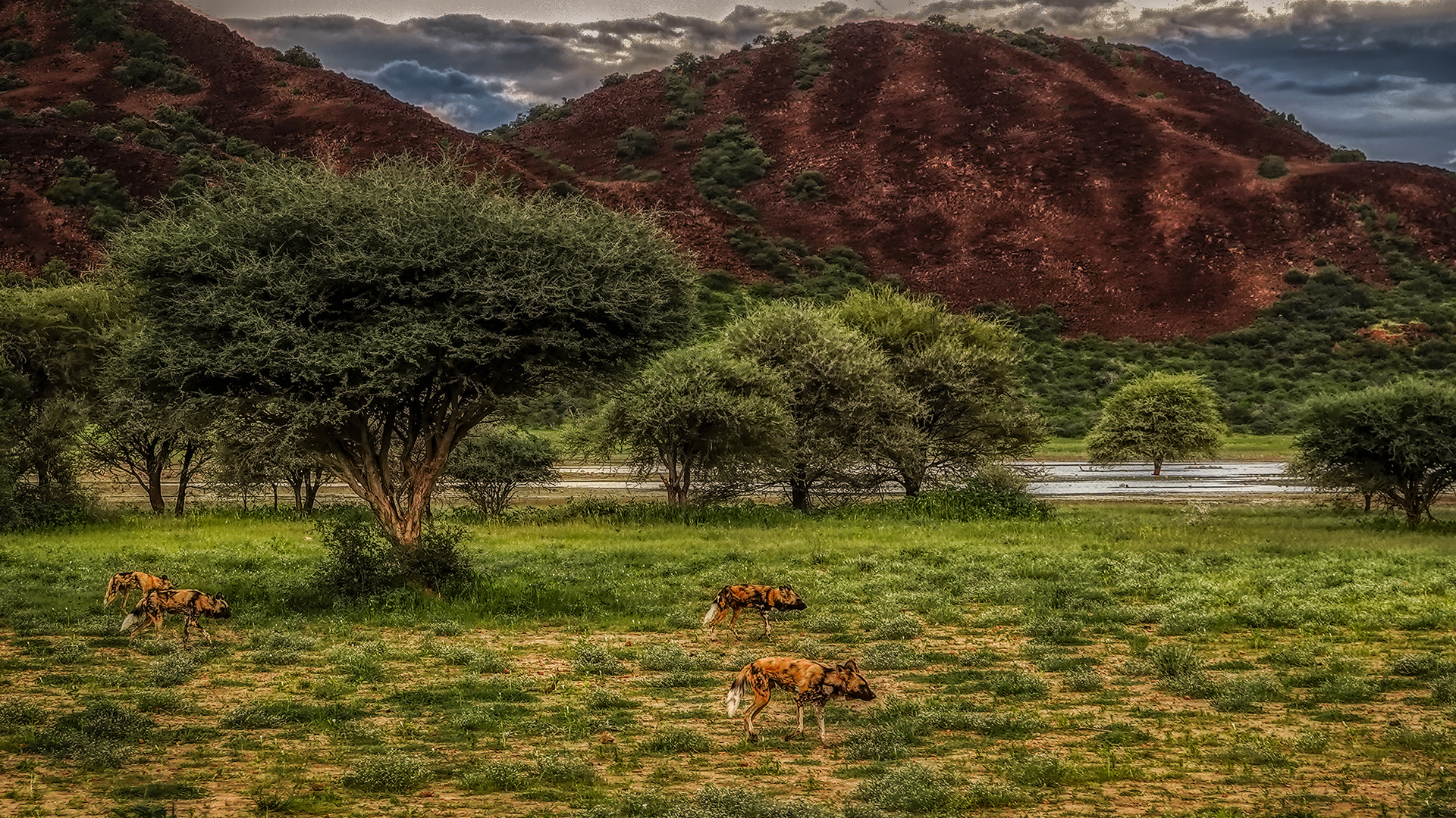 ERINDI PRIVATE GAME RESERVE (86) Foto & Bild | world, tier, namibia ...