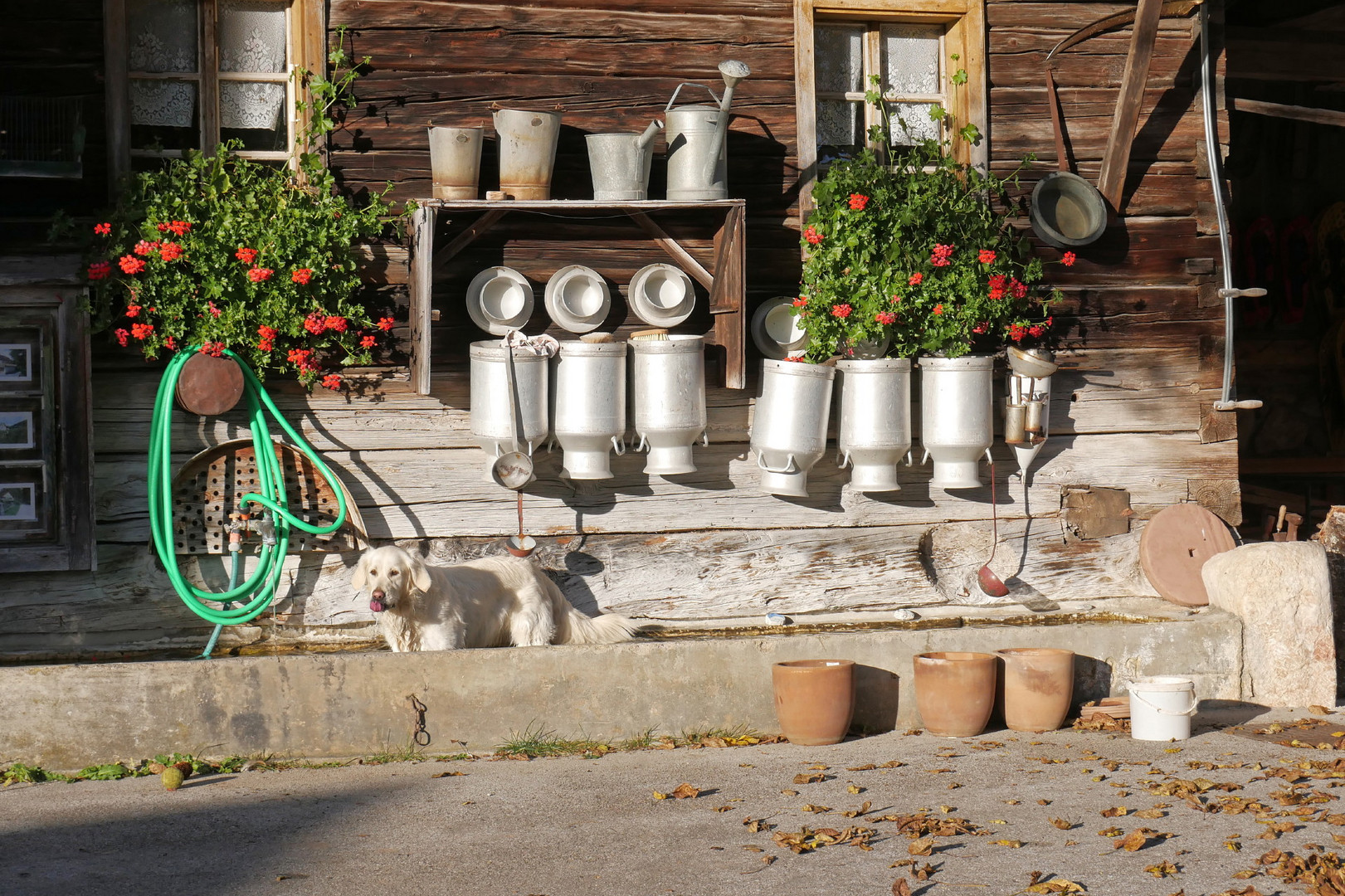Erinnerung an "gute, alte Zeiten" Foto & Bild | stillleben, zufällige ...