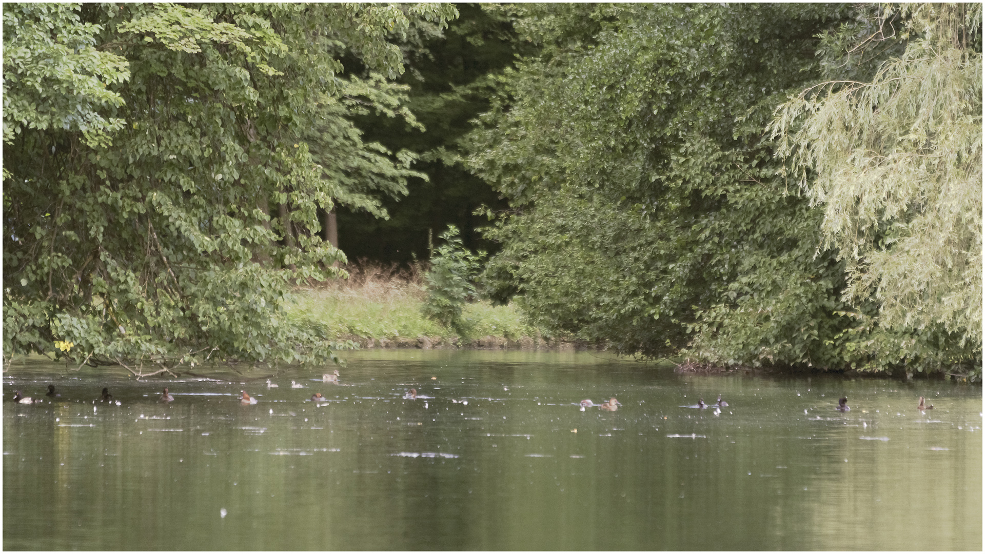 Erleichterung Foto & Bild | park, münchen, natur Bilder auf fotocommunity