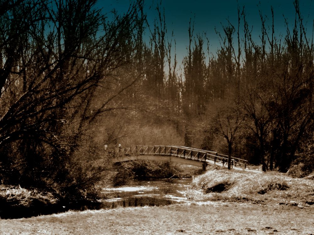 Erlensee Bulau Foto & Bild | natur-kreativ, aufnahmetechniken, natur ...